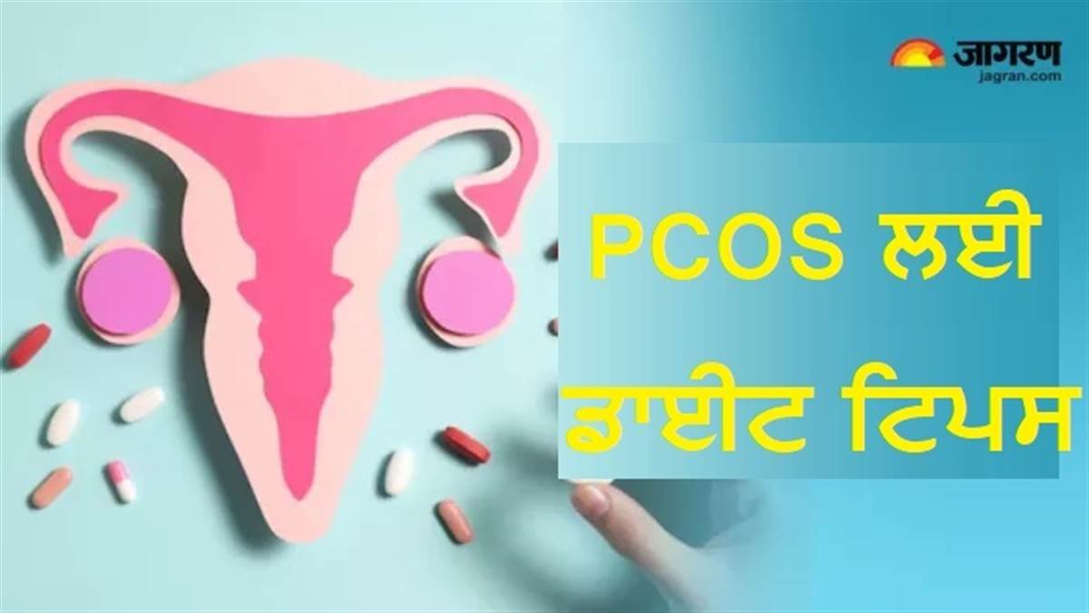 World PCOS Day 2024: PCOS ਦੇ ਲੱਛਣਾਂ ਨੂੰ ਮੈਨੇਜ ਕਰਨ ਲਈ ਖੁਰਾਕ ਨਾਲ ਸਬੰਧਤ ...