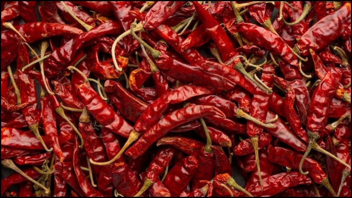 Red Chilli Side Effects : ਲਾਲ ਮਿਰਚ ਦੇ ਜ਼ਿਆਦਾ ਸੇਵਨ ਨਾਲ ਹੋ ਸਕਦਾ ਹੈ ਅਸਥਮਾ ...