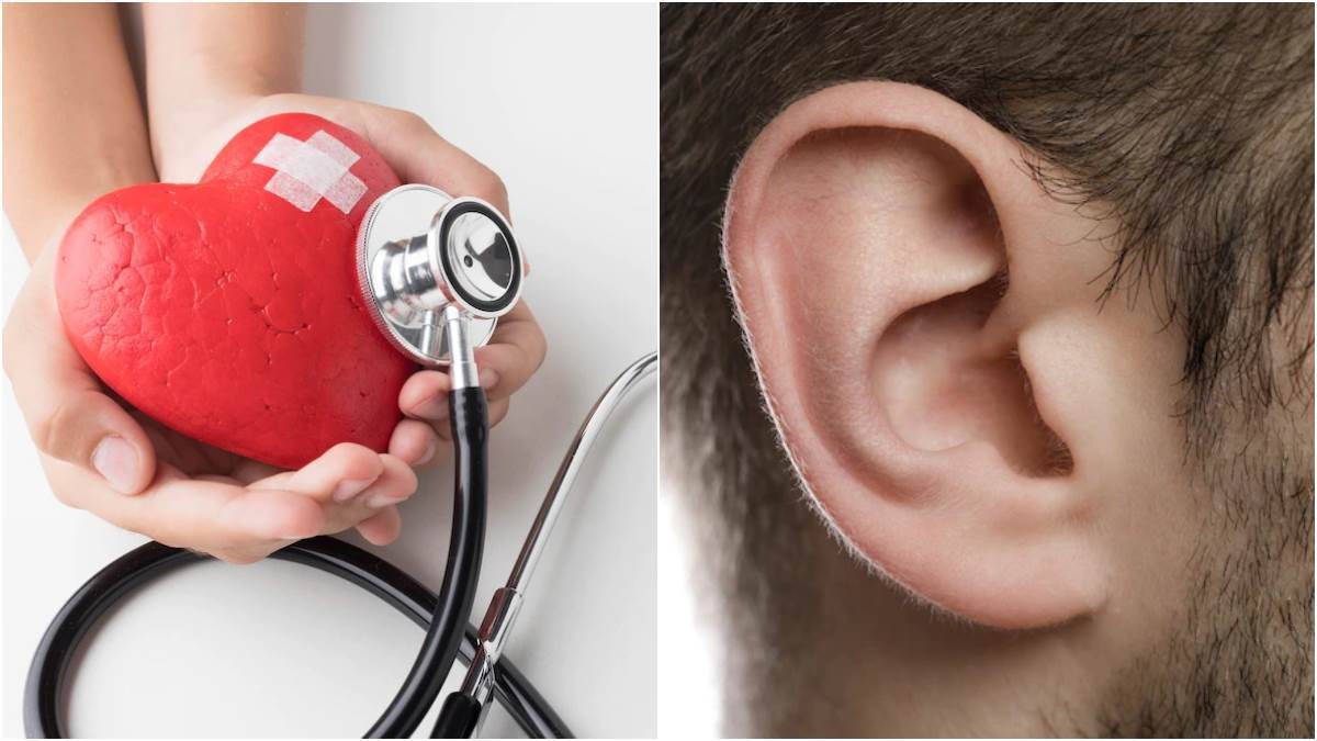 Heart Attack : ਕੰਨਾਂ 'ਚ ਵੀ ਦਿਸ ਜਾਂਦੀਆਂ ਹਨ ਹਾਰਟ ਅਟੈਕ ਦੀਆਂ ਚਿਤਾਵਨੀਆਂ ...