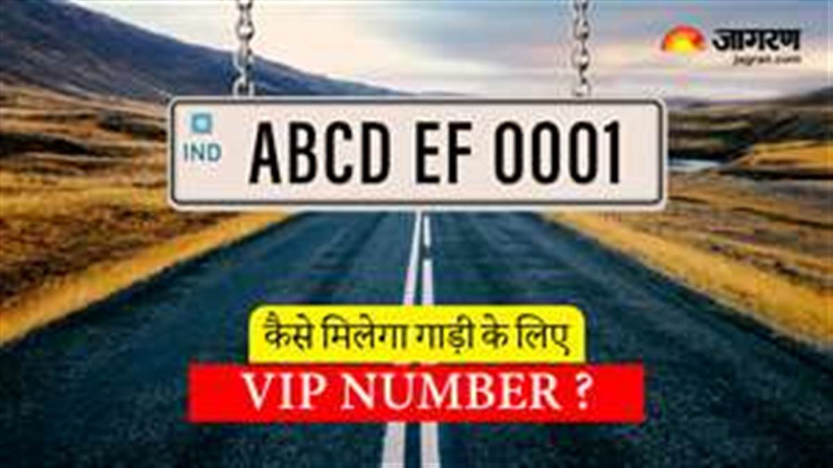  VIP 
