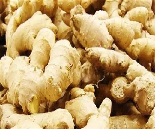 Fake Ginger : ਨਕਲੀ ਅਦਰਕ ਤੋਂ ਰਹੋ ਸਾਵਧਾਨ, ਵਿਗਾੜ ਸਕਦੈ ਤੁਹਾਡਾ ਸਵਾਦ ਤੇ ਸਿਹਤ ...