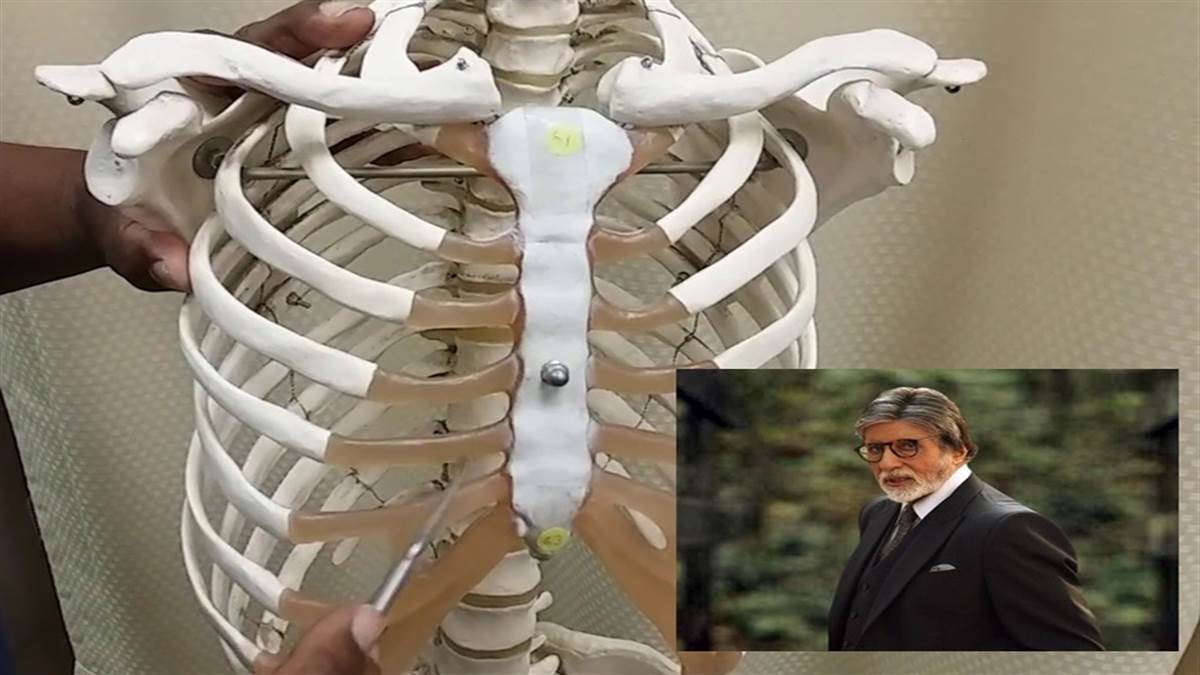 Amitabh Rib Cartilage Injury : ਪਸਲੀ ਦੀ ਸੱਟ ਲੱਗੇ ਤਾਂ ਵਰਤੋਂ ਇਹ ਸਾਵਧਾਨੀ ...
