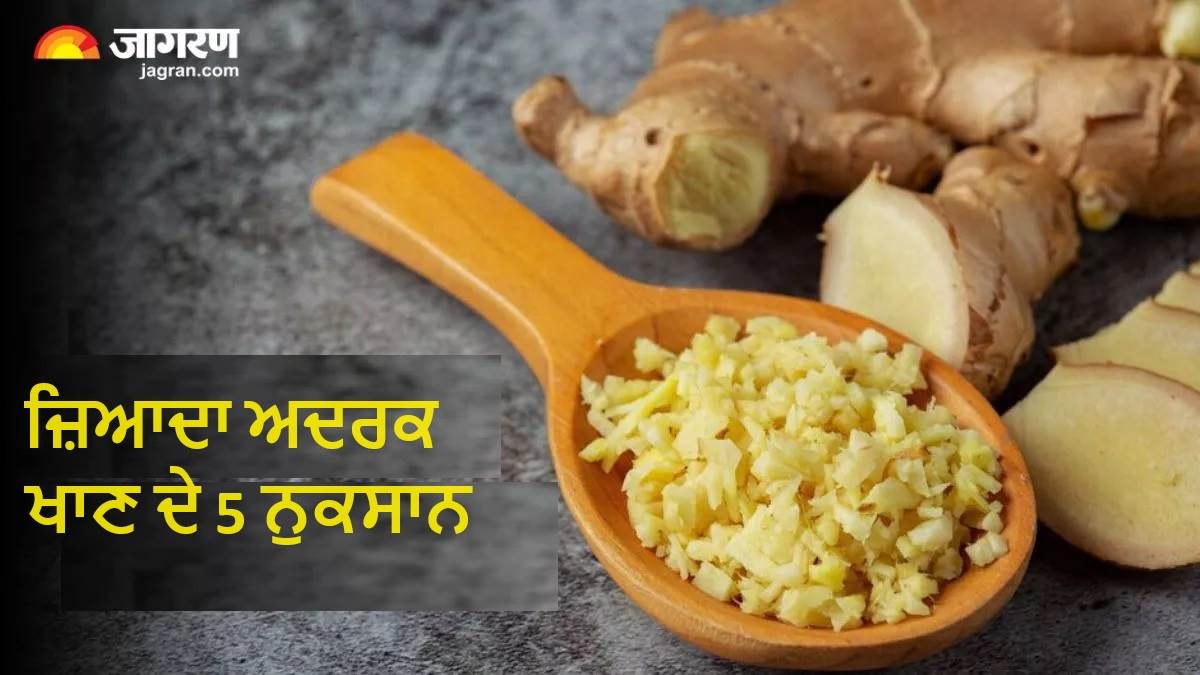 Health Tips : ਤੁਹਾਨੂੰ ਹੈਰਾਨ ਕਰ ਦੇਣਗੇ ਗਰਮੀਆਂ 'ਚ ਜ਼ਿਆਦਾ ਅਦਰਕ ਖਾਣ ਦੇ ਇਹ 5 ...