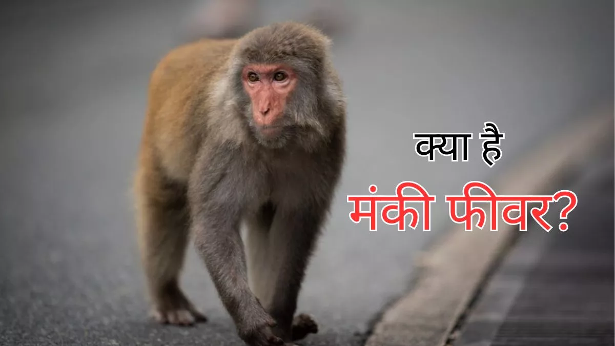 ਕਰਨਾਟਕ 'ਚ ਵੱਧ ਰਿਹੈ Monkey Fever ਦਾ ਪ੍ਰਕੋਪ, ਜਾਣੋ ਇਸ ਦੇ ਲੱਛਣ ਤੇ ਰੋਕਥਾਮ ਦੇ ...