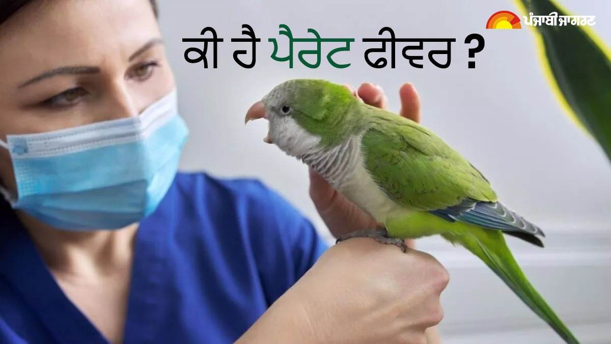 ਯੂਰਪ 'ਚ Parrot Fever ਨੇ ਲਈ 5 ਲੋਕਾਂ ਦੀ ਜਾਨ, ਜਾਣੋ ਕੀ ਹੈ ਇਹ ਬਿਮਾਰੀ ਤੇ ਇਸ ...