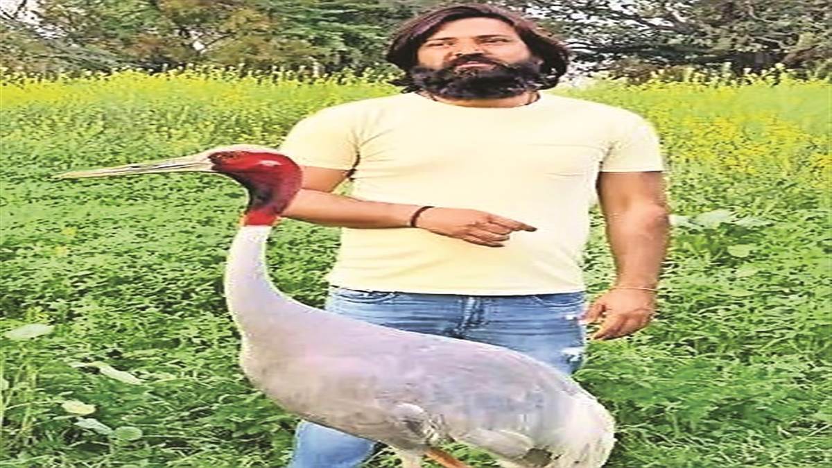 ਕਿਉਂ ਕਰਦੇ ਹੋ ਇਨਕਾਰ? ਜੀਵਾਂ ਨਾਲ ਇਨਸਾਨ ਨੂੰ ਕਰਨ ਦਿਓ ਪਿਆਰ - Why do you ...