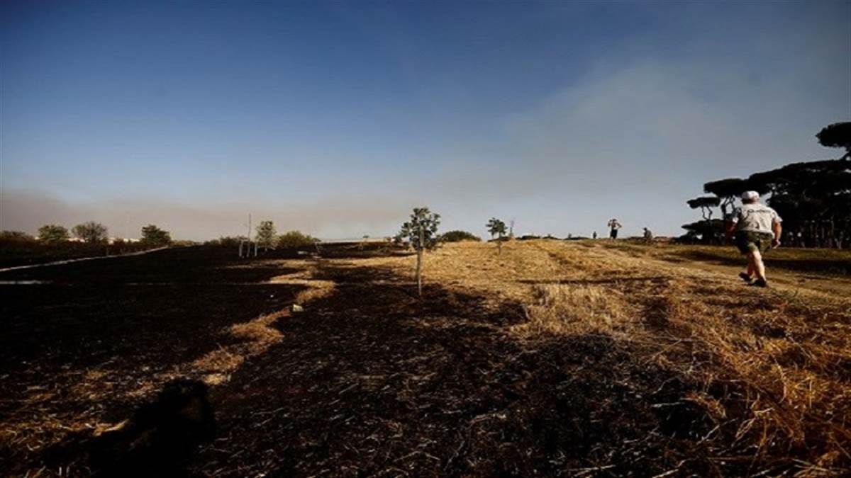Drought in Italy:ਇਟਲੀ ਨੇ ਸੋਕੇ ਨਾਲ ਨਜਿੱਠਣ ਲਈ ਐਮਰਜੈਂਸੀ ਦਾ ਕੀਤਾ ਐਲਾਨ ...