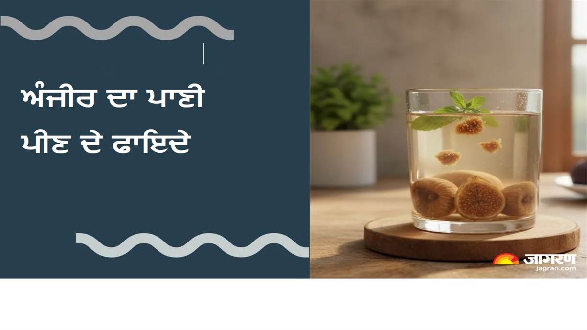 ਇਨ੍ਹਾਂ ਅੰਗਾਂ ਲਈ ਵਰਦਾਨ ਹੈ ਅੰਜੀਰ ਦਾ ਪਾਣੀ; ਜਾਣੋ ਕੀ ਹੈ ਇਸਨੂੰ ਪੀਣ ਦਾ ਸਹੀ ਤੇ ...