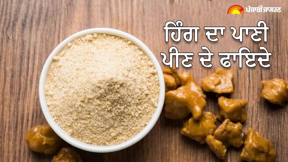 Hing Water Benefits : ਕੋਲੈਸਟ੍ਰੋਲ ਦੀ ਸਮੱਸਿਆ ਦਾ ਰਾਮਬਾਣ ਇਲਾਜ ਹੈ ਹਿੰਗ, ਜਾਣੋ ...