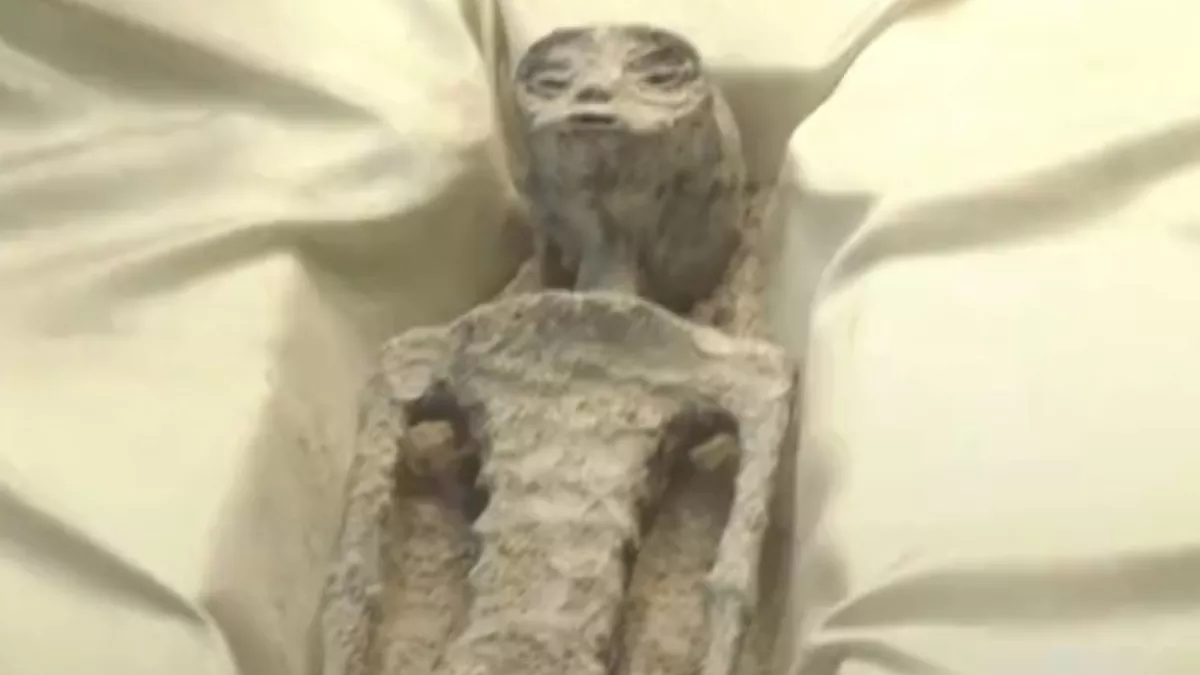 Mexico Alien : ਮੈਕਸੀਕੋ ਦੀ ਸੰਸਦ 'ਚ ਦਿਖਾਈਆਂ 'ਏਲੀਅਨ ਲਾਸ਼ਾਂ' ਨੂੰ ਵਿਗਿਆਨੀਆਂ ...