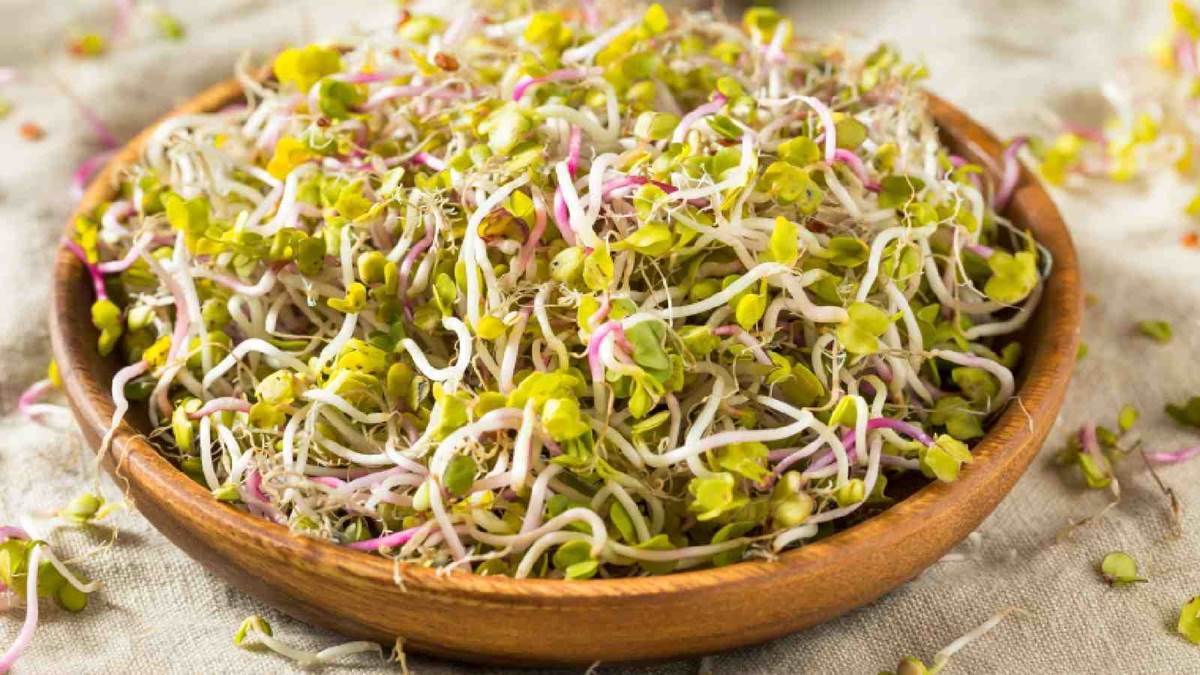 Sprouts :ਸਰੀਰ ਨੂੰ ਸਿਹਤਮੰਦ ਤੇ ਮਜ਼ਬੂਤ ਬਣਾਉਣ 'ਚ ਮਦਦ ਕਰਦੈ Sprouts, ਜਾਣੋ ਇਸ ...