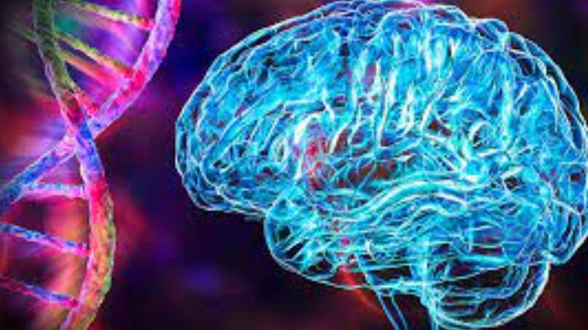 Brain Disease: ਸਰੀਰ ਦੇ ਇਨ੍ਹਾਂ 5 ਲੱਛਣਾਂ ਨੂੰ ਨਾ ਕਰੋ ਨਜ਼ਰਅੰਦਾਜ਼, ਹੋ ਸਕਦੀ ...