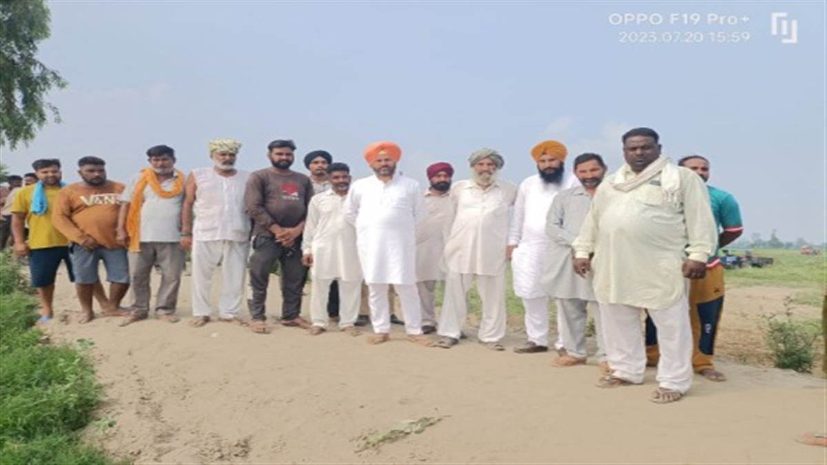 ਦਰਿਆ ਬਿਆਸ ਦੀ ਮਾਰ, ਕਈ ਏਕੜ ਖੇਤ ਡੁੱਬੇ - Due to continuous rise of water in ...