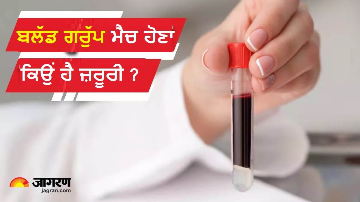 Wrong Blood Type : ਕੀ ਹੋਵੇਗਾ ਜੇਕਰ ਤੁਹਾਡੇ ਸਰੀਰ 'ਚ ਚੜ੍ਹਾ ਦਿੱਤਾ ਜਾਵੇ ਕਿਸੇ ...