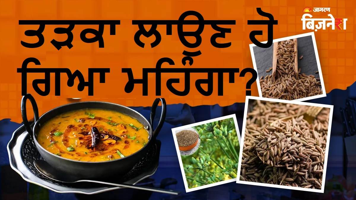 Jeera Price Hike : ਮਹੀਨੇ 'ਚ 10% ਮਹਿੰਗਾ ਹੋਇਆ ਜੀਰਾ, ਵਿਗੜਣ ਵਾਲਾ ਹੈ ਰਸੋਈ ਦਾ ...