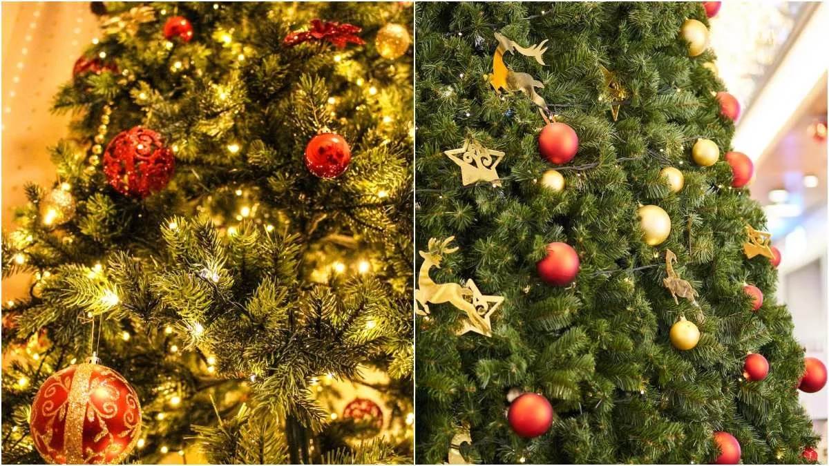 2022 Christmas Tree Decorating Ideas Decorate Your Christmas Tree In 2022-christmas-tree-decorating-ideas-decorate-your-christmas-tree-in