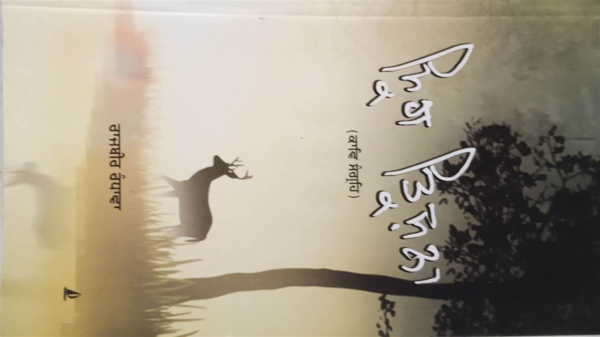 Book Review : ਕਵਿਤਾਵਾਂ/ਗੀਤਾਂ ਦਾ ਮੁਜੱਸਮਾ ‘ਮਿ੍ਰਗ ਤਰਿਸ਼ਨਾ’ - Compilation ...