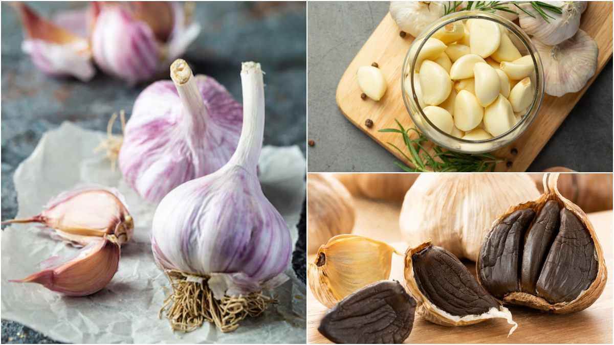 Garlic Types : ਲਸਣ ਦੀਆਂ ਹੁੰਦੀਆਂ ਹਨ 4 ਕਿਸਮਾਂ, ਜਾਣੋ ਖਾਣਾ ਬਣਾਉਣ ਲਈ ਕਿਹੜੀ ...