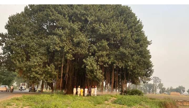 ਪੁਰਾਤਨ ਬੋਹੜ ਦੇ ਦਰੱਖਤ ਨੂੰ ਬਚਾਉਣ ਲਈ ਦਿੱਤਾ ਡੀਸੀ ਨੂੰ ਮੰਗ ਪੱਤਰ, ਡੀਸੀ ਨੇ ਬੋਹੜ ...